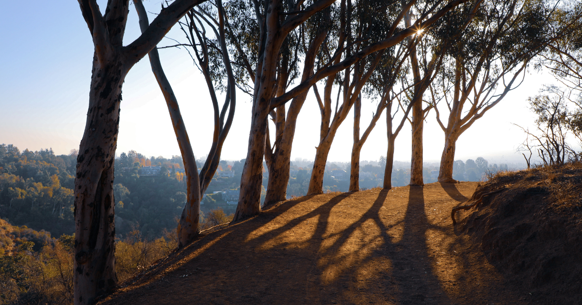 Rise and Shine: Morning Hiking Adventures Await