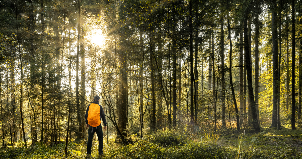 Rise and Shine: Morning Hiking Adventures Await