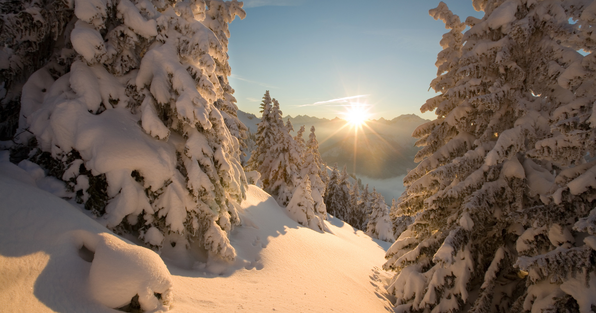 Rise and Shine: Morning Hiking Adventures Await