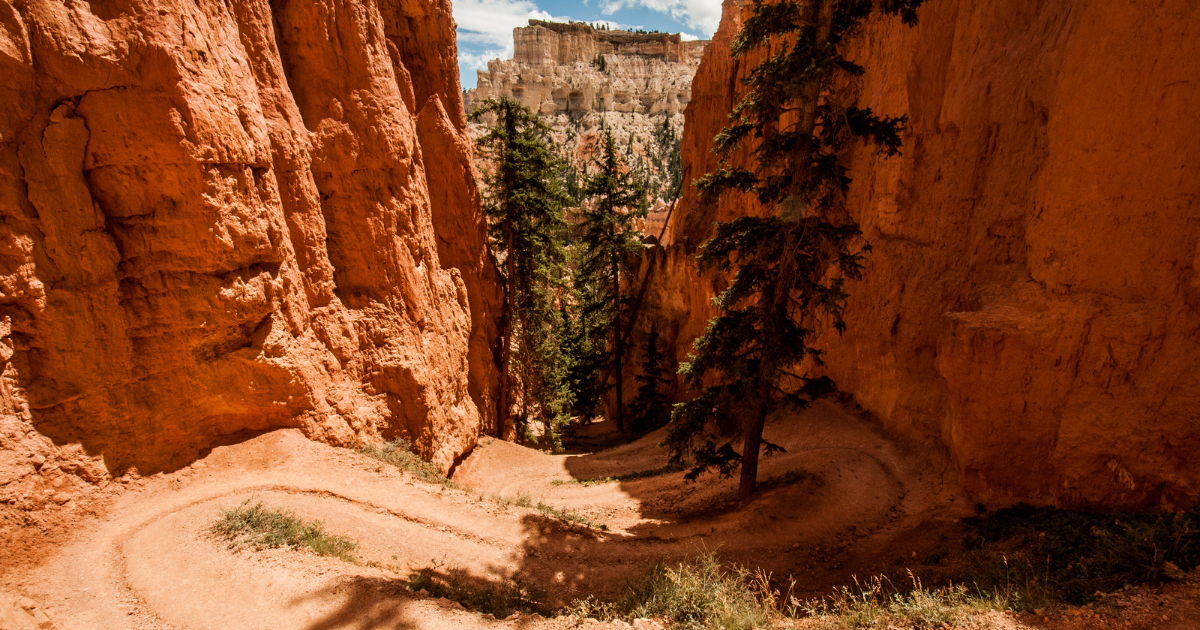 What is a Steep Grade for Hiking: An Empowering Explanation