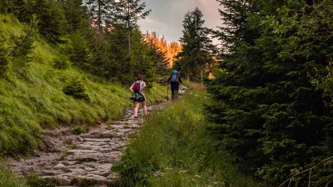 Is Trail Wolf Hiking Legit? Unbiased Review Exposes the Shocking Truth!