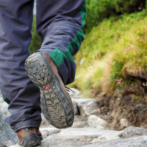What Muscles Do Hiking Work? A Comprehensive Guide