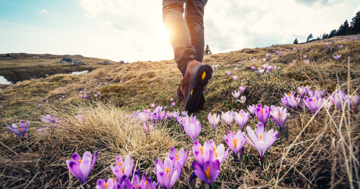 What Muscles Do Hiking Work? A Comprehensive Guide