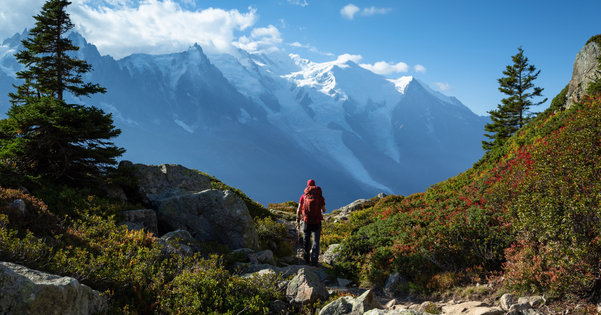 What Hiking Does to Your Brain - The Surprising Benefits!