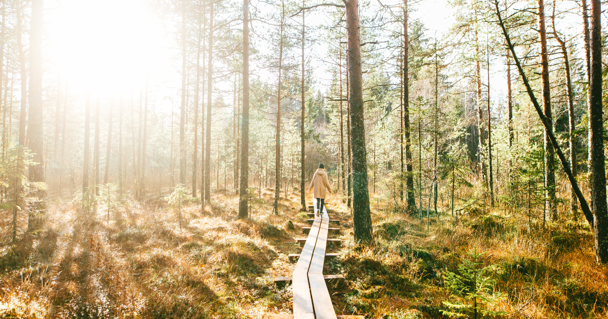 How Hiking Is Different From Brisk Walking - ANSWERED