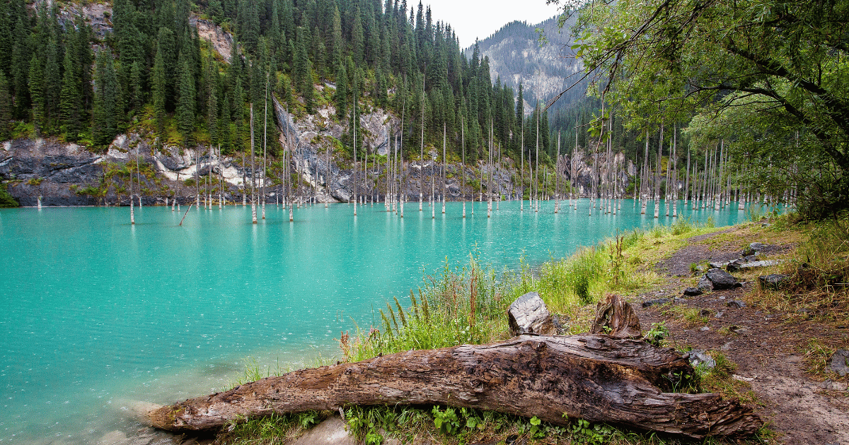 What Hiking Does to Your Brain - The Surprising Benefits!