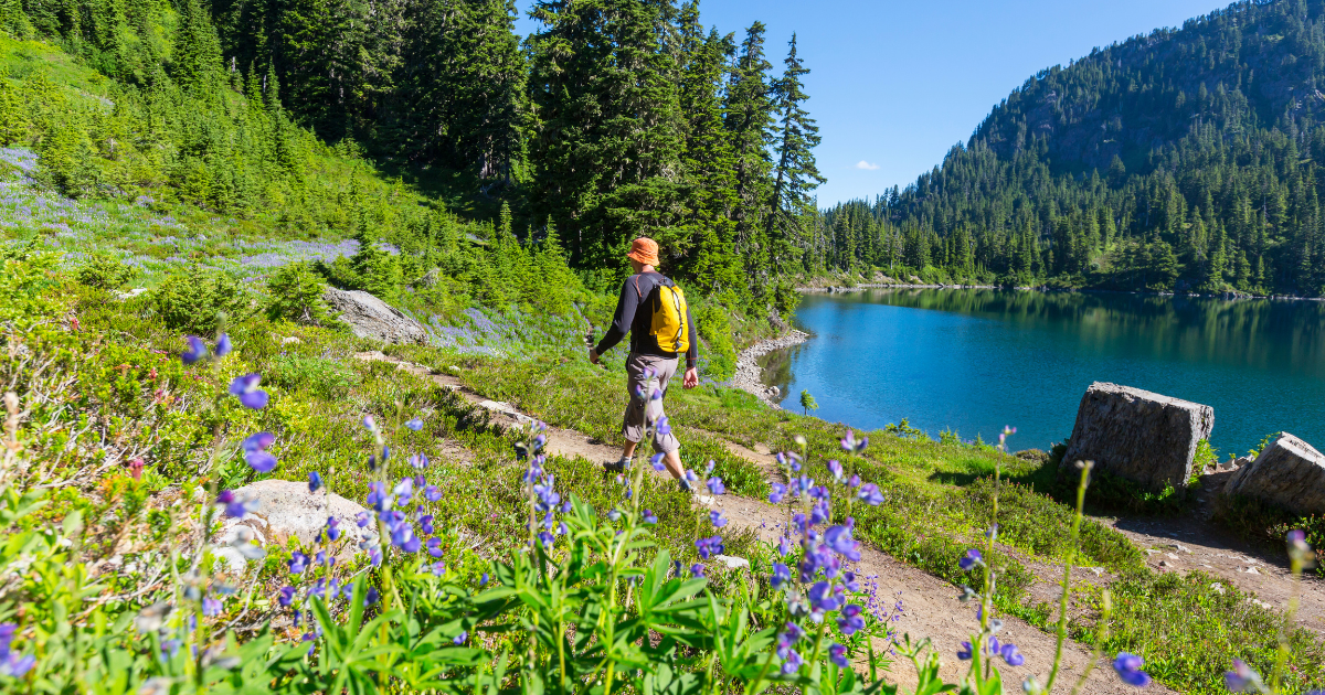 What Hiking Does to Your Brain - The Surprising Benefits!
