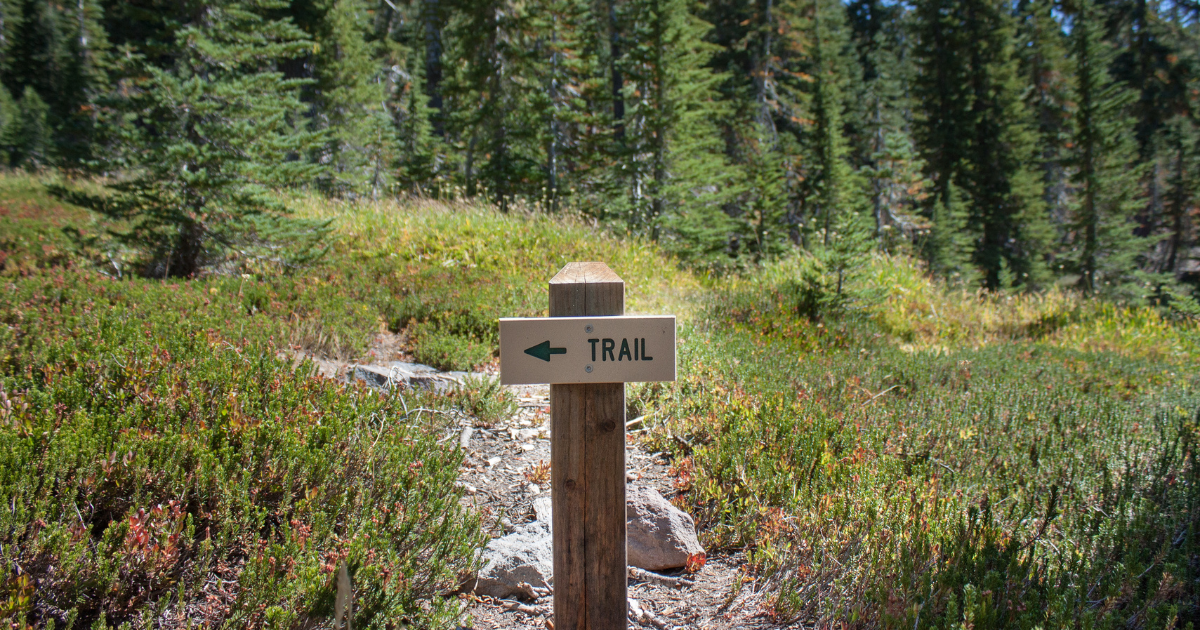 What Is the Longest Hiking Trail in North America? Discover the Top ...